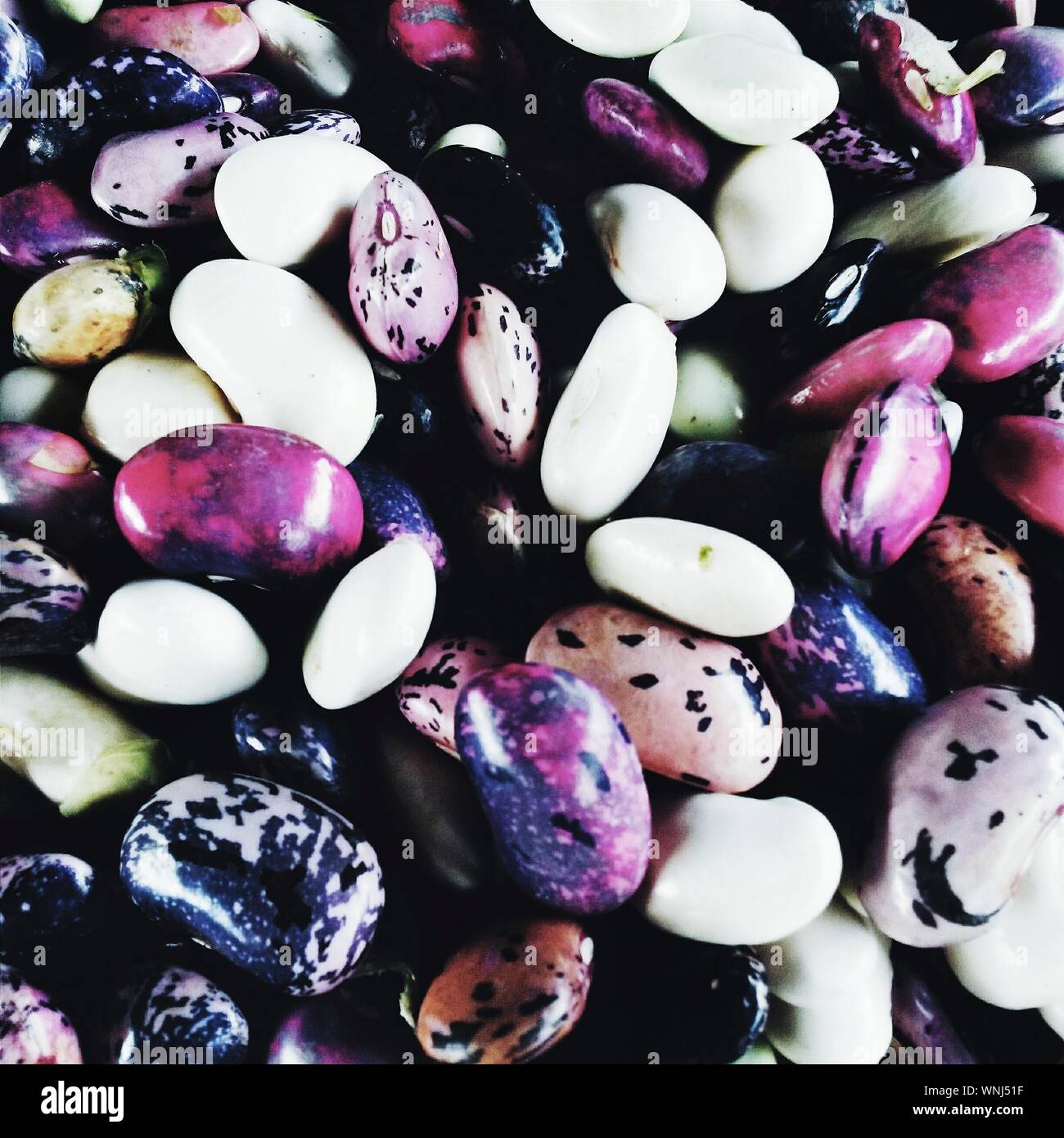 The kidney bean hi-res stock photography and images - Alamy