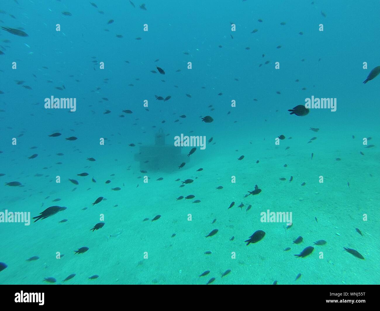 Underwater frame hi-res stock photography and images - Alamy