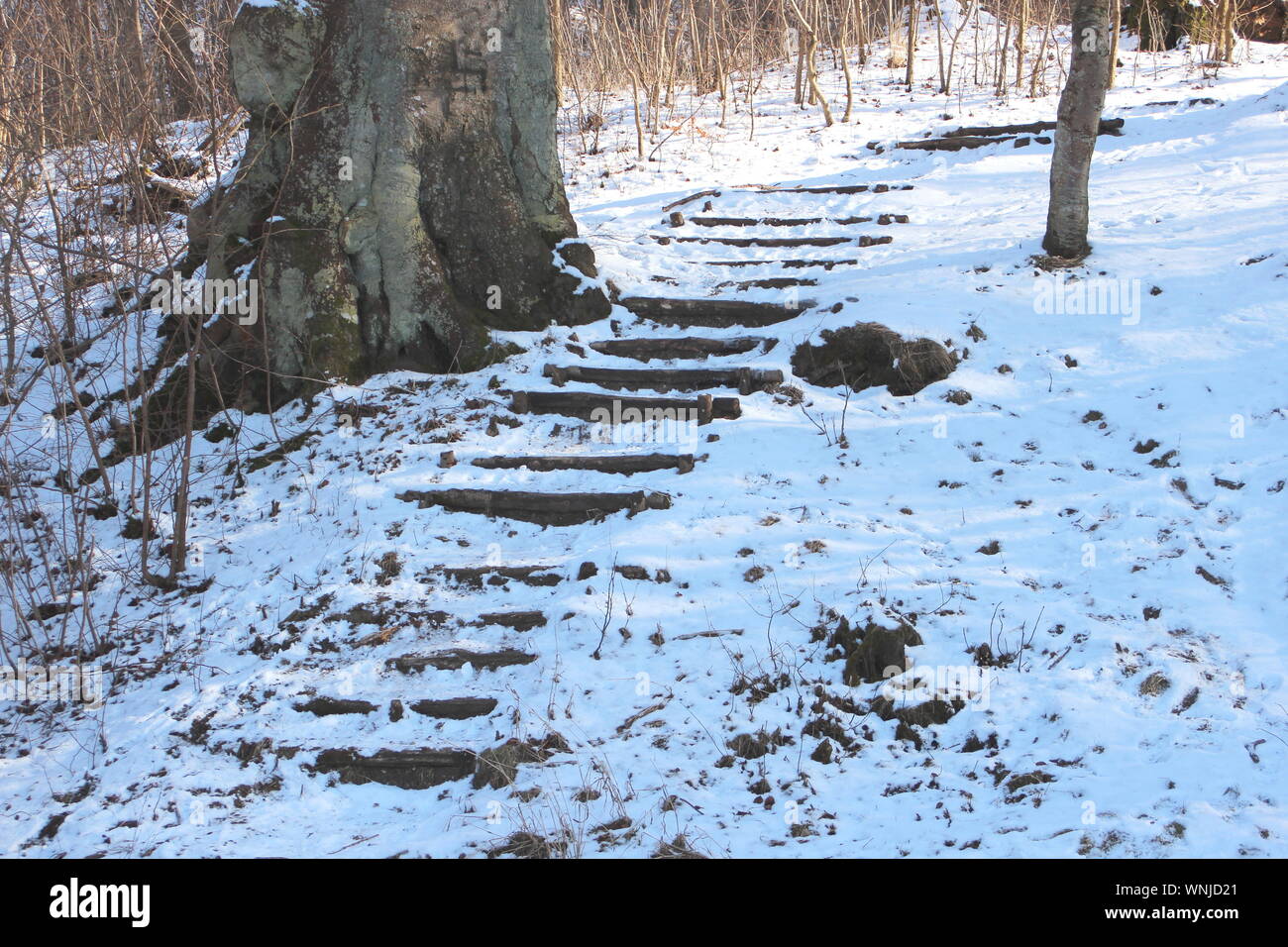 Covered steps hi-res stock photography and images - Alamy
