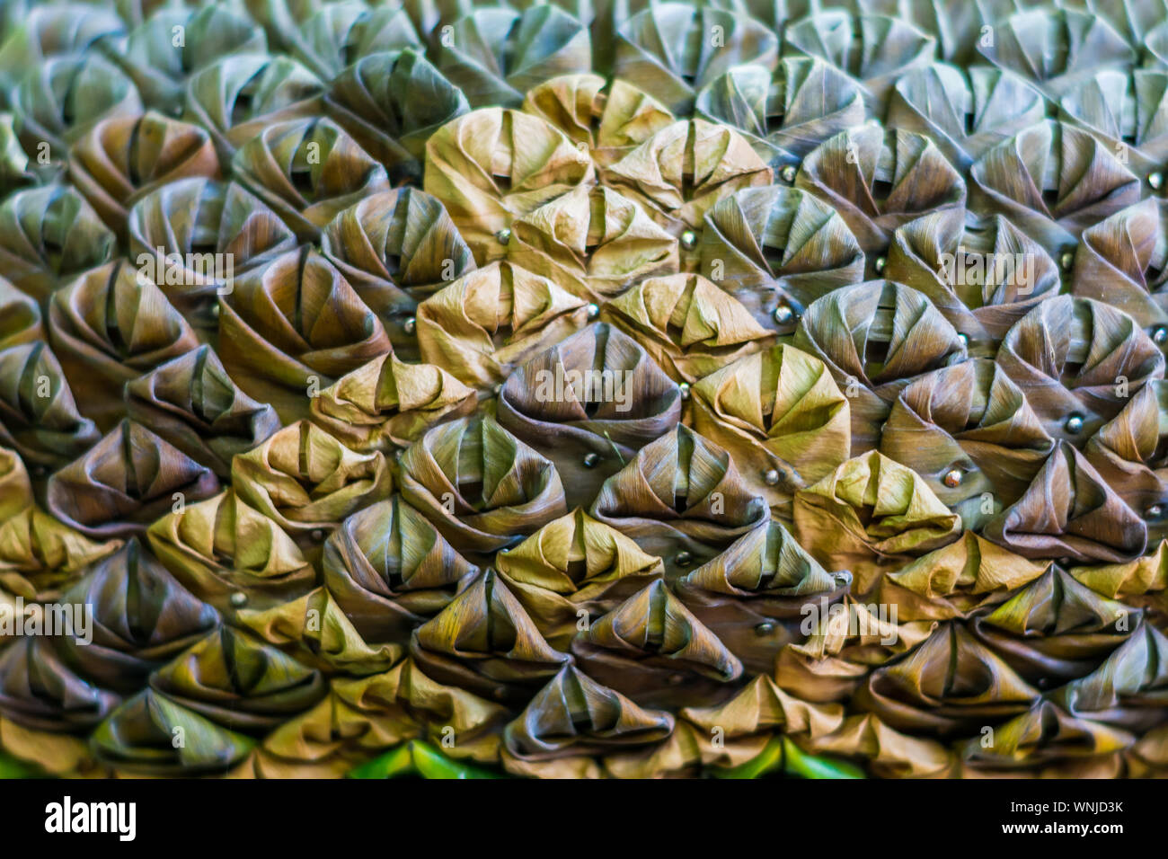 Wrapped objects hi-res stock photography and images - Alamy