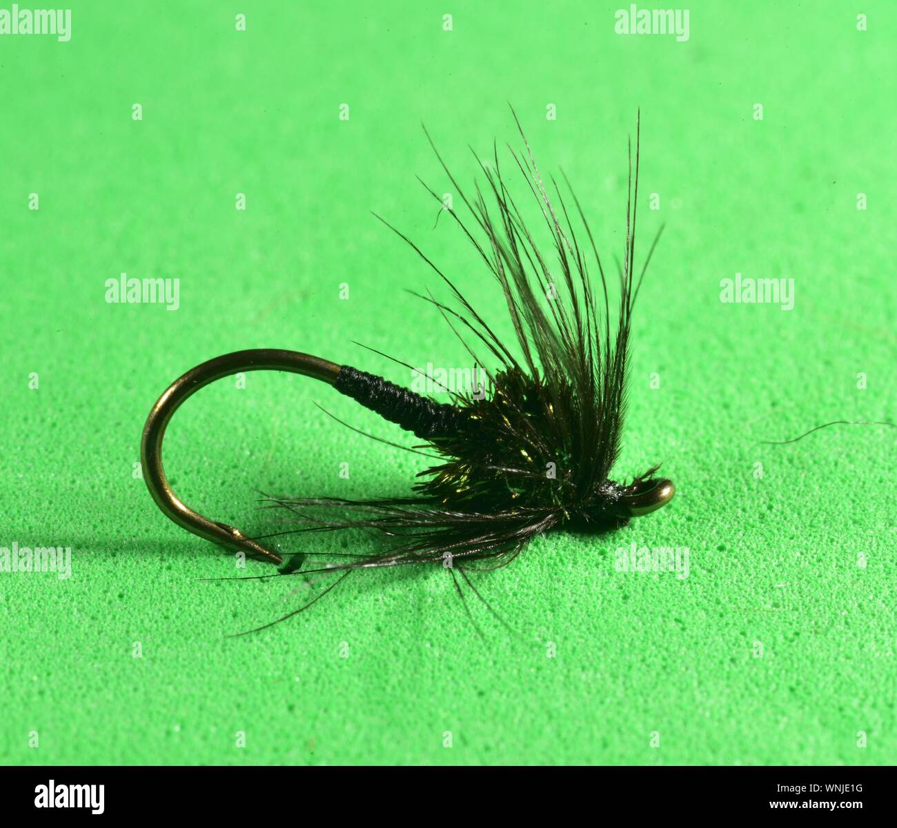Black Midge trout fly Stock Photo - Alamy