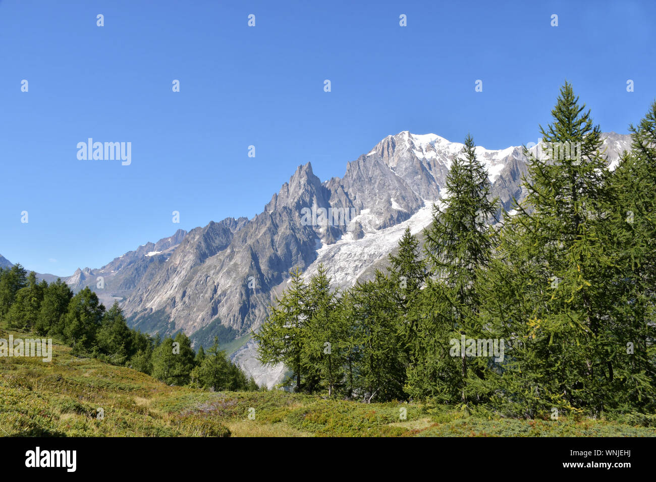 Mont Blanc, seen from the Ferret valley Stock Photo - Alamy