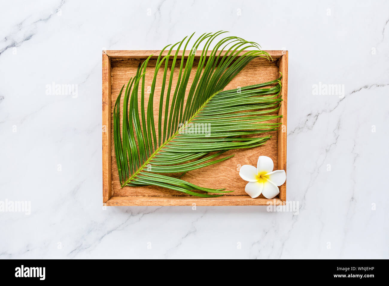 Summer flat lay items: tropical flower plumeria and palm leaf in wooden ...