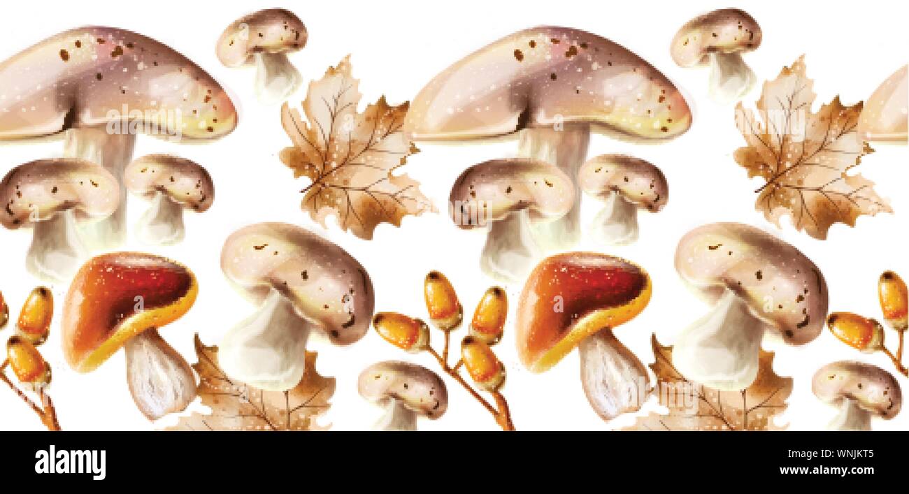 Autumn harvest pattern Vector. Fall muchrooms and fruits decor poster ...