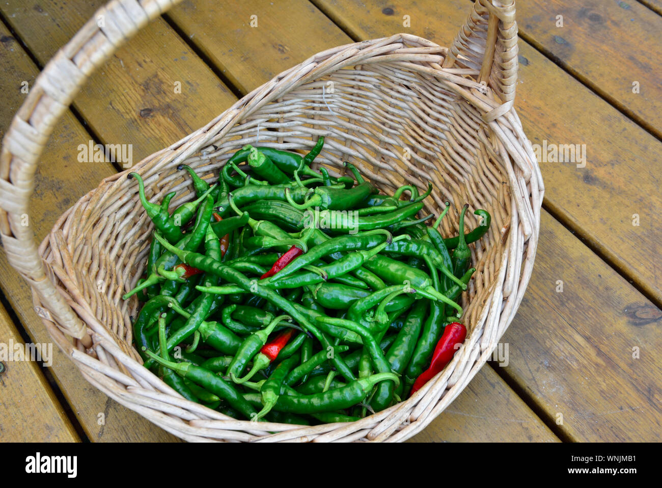 Chilli crop hi-res stock photography and images - Alamy