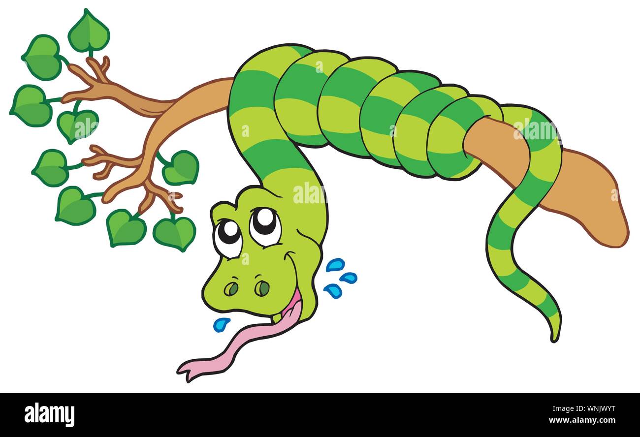Snake on leafy branch Stock Vector Image & Art - Alamy