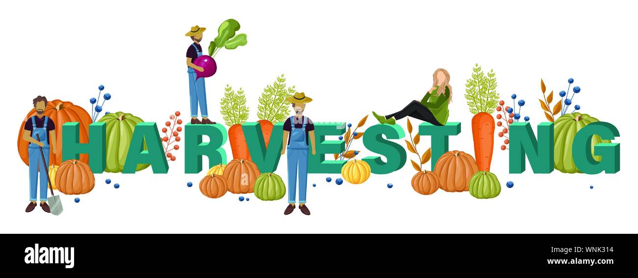 Harvesting text template with farmers Vector layout banner poster Stock ...