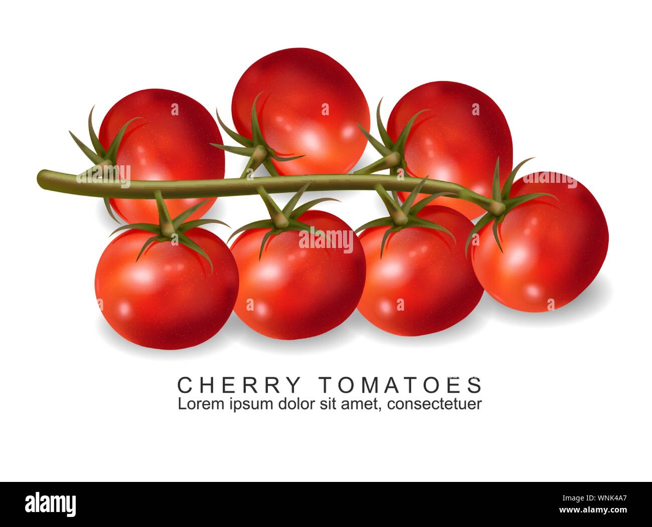 Cherry tomatoes vector realistic isolated on white 3d illustration ...