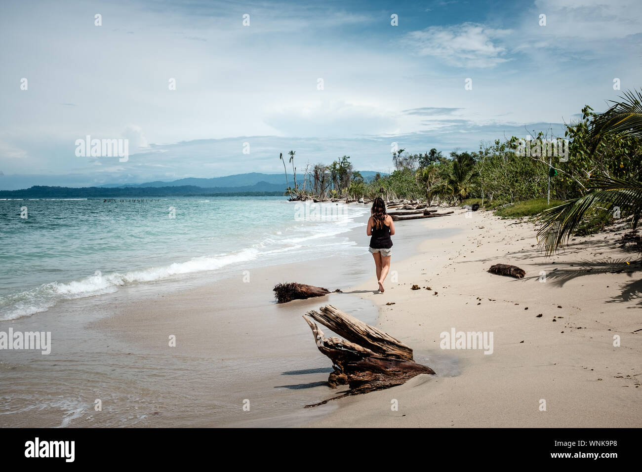 Beautiful Woman On Beach Driftwood High Resolution Stock Photography ...