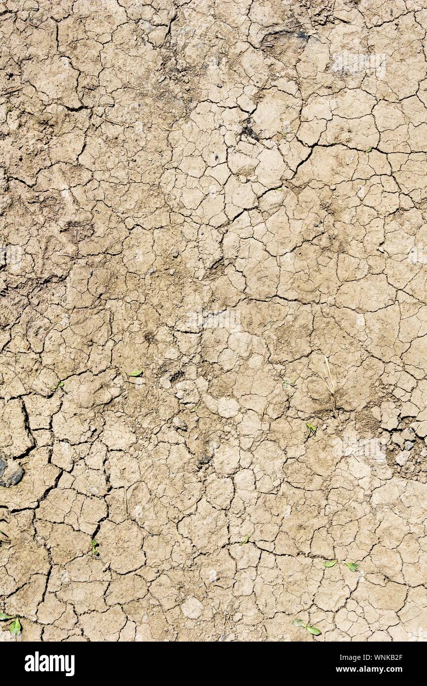 Dried ground hi-res stock photography and images - Alamy