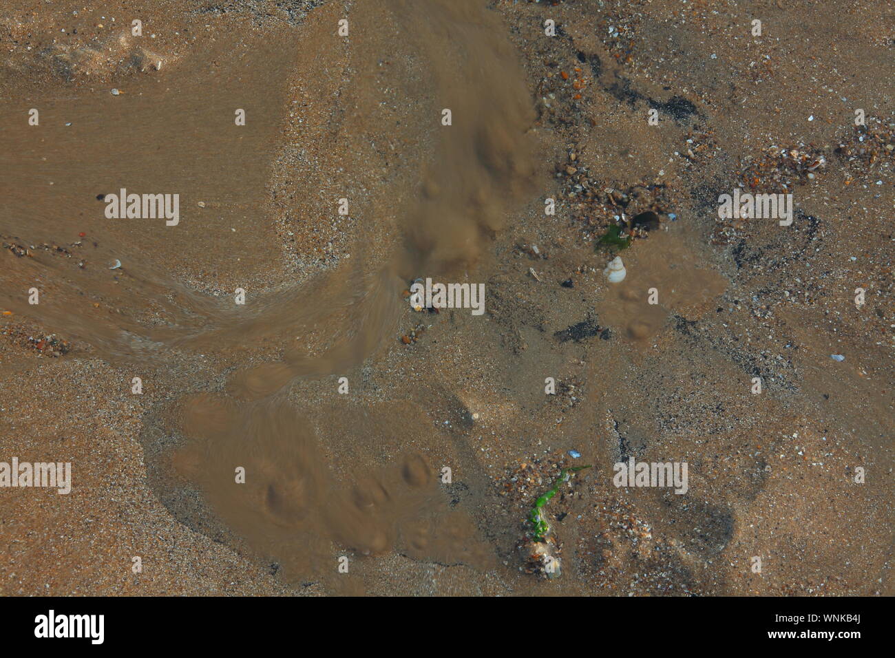 A point on the beach where a natural fresh water spring leaks up the ...