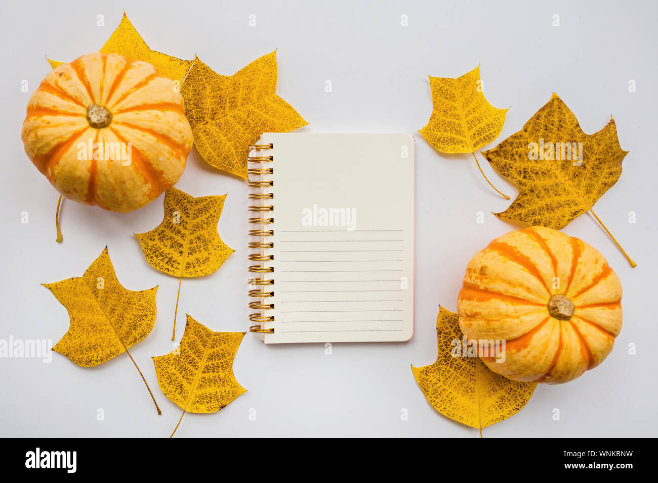 Thanksgiving holiday objects for mock up template design. Autumn ...