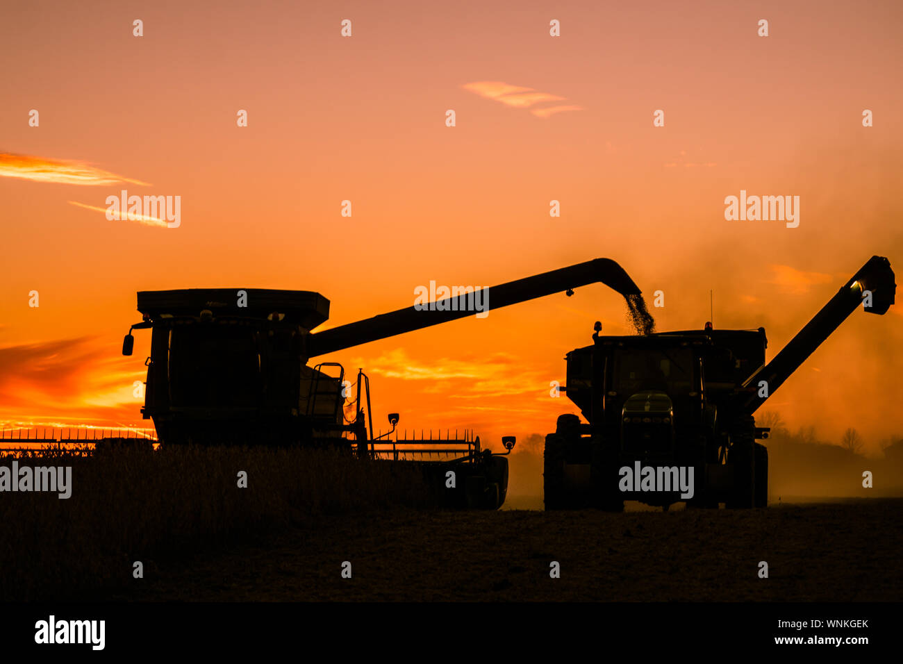 Combine silhouette hi-res stock photography and images - Alamy