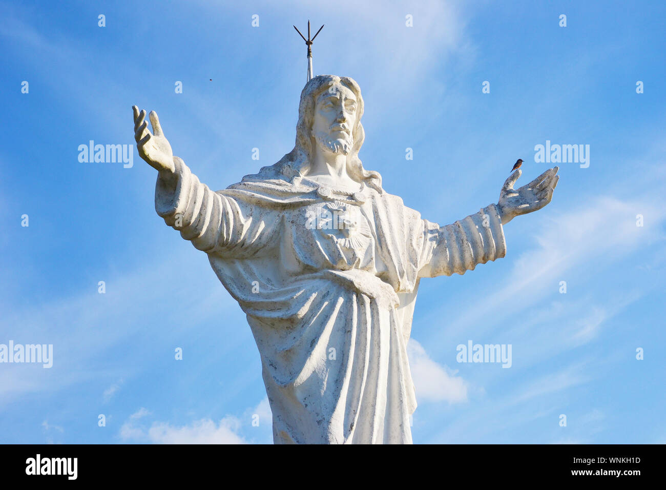 Jesus christ bird hi-res stock photography and images - Alamy