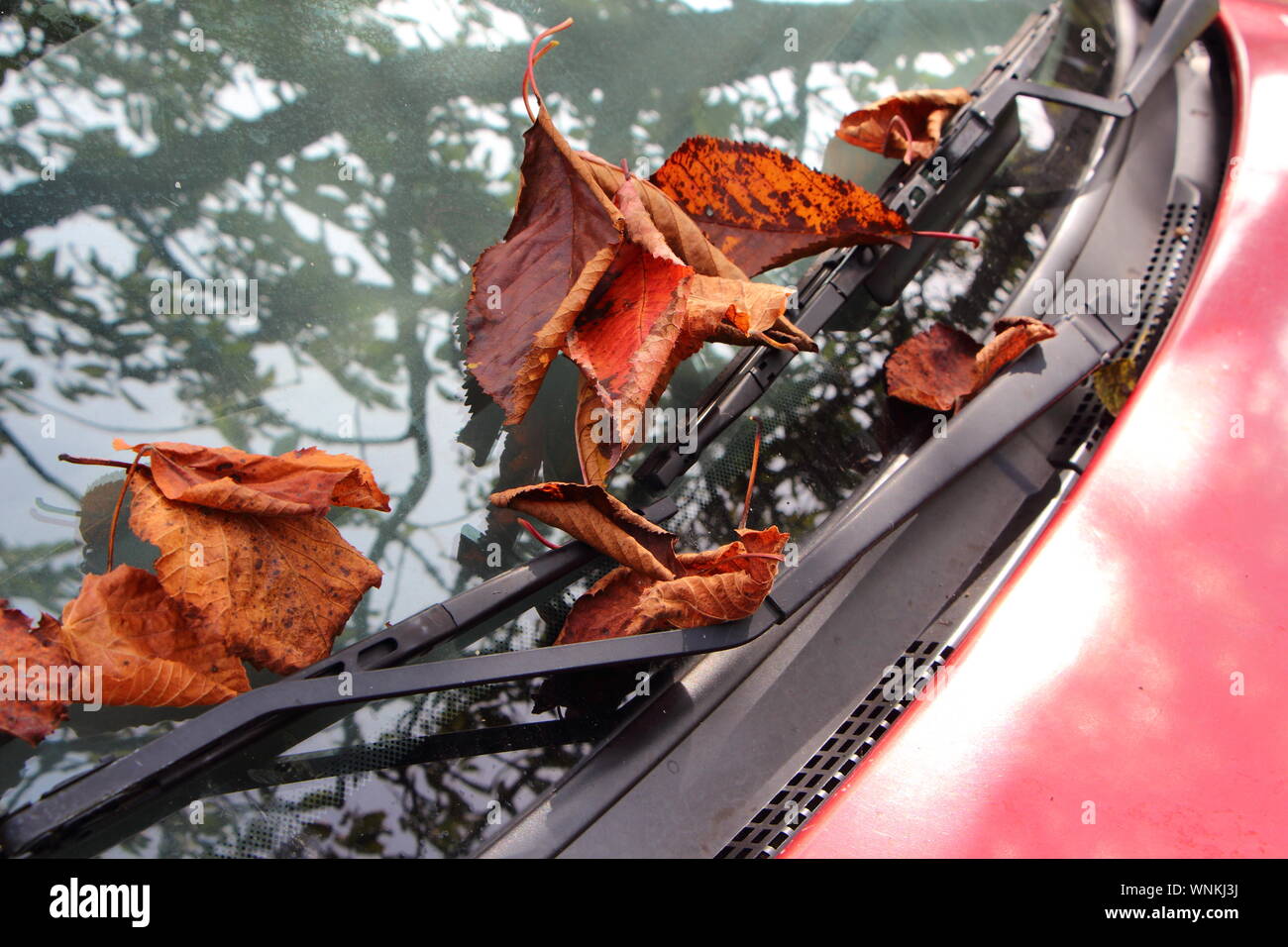 On car windscreen hi-res stock photography and images - Alamy