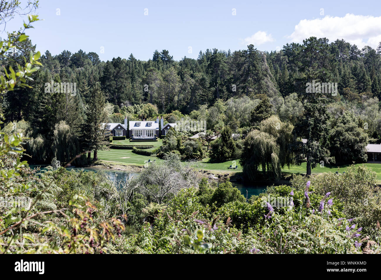 Mansion trees hi-res stock photography and images - Alamy