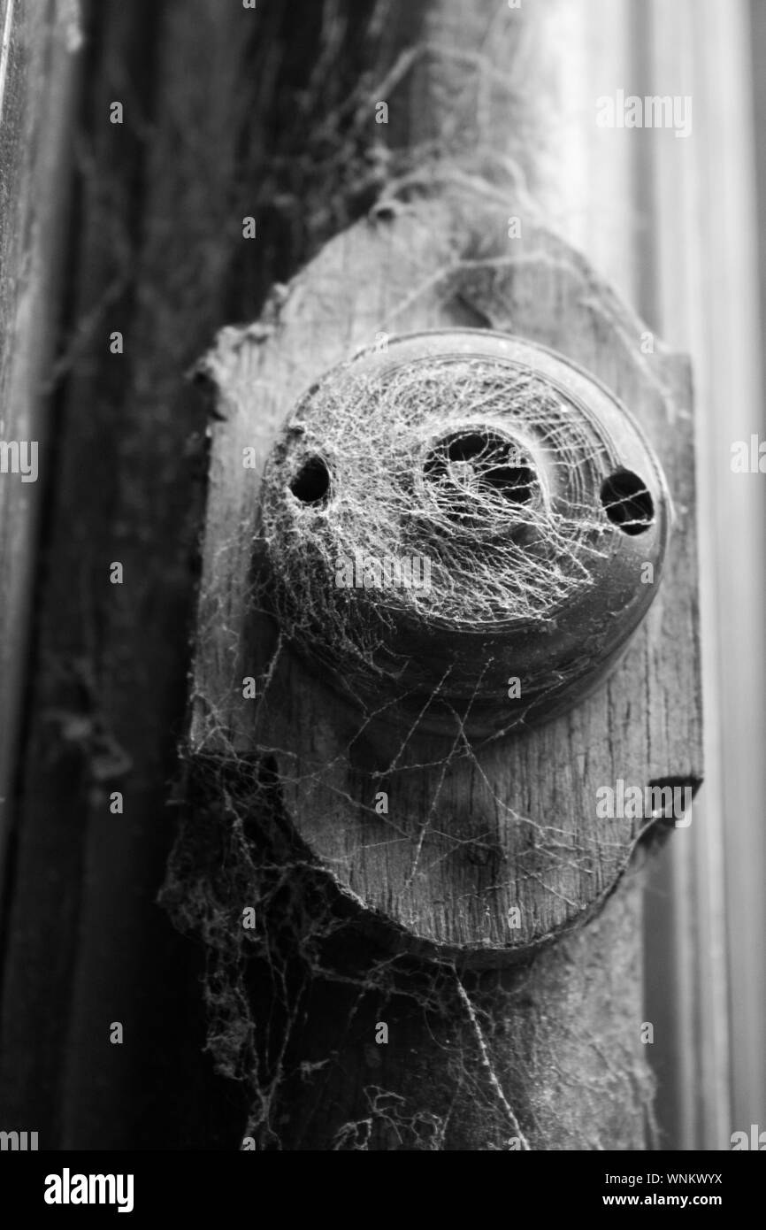 Old webs hi-res stock photography and images - Alamy