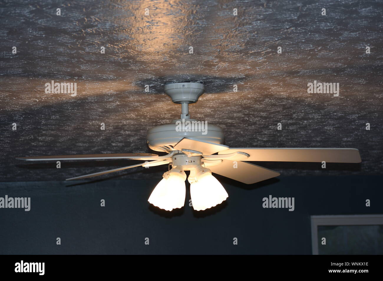 Ceiling fan with lights glowing against a white ceiling and blue wall ...