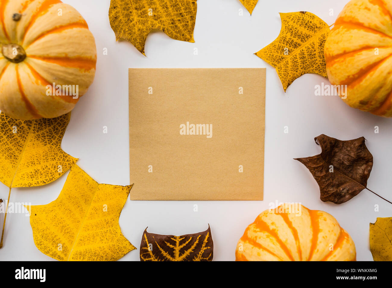 Thanksgiving holiday objects for mock up template design. Autumn ...