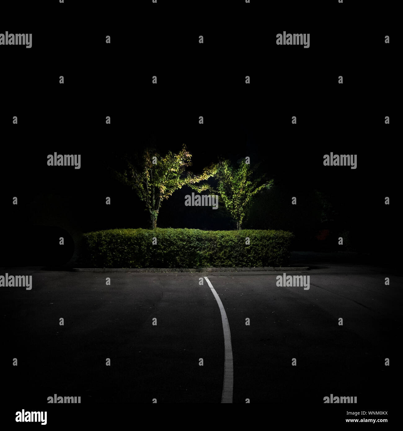 Road and hedge hi-res stock photography and images - Alamy