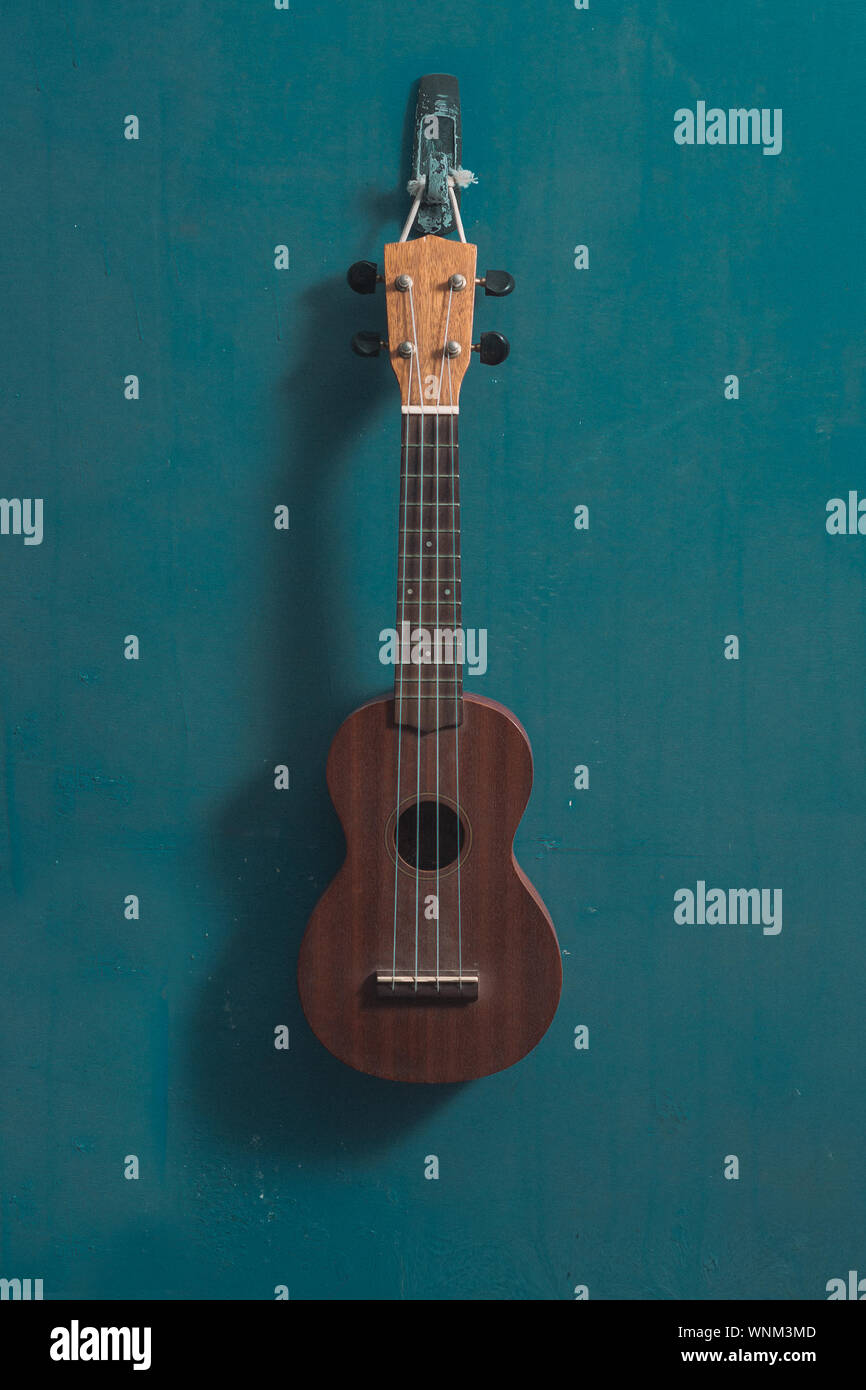 ukulele in front view with isolated blue background Stock Photo - Alamy