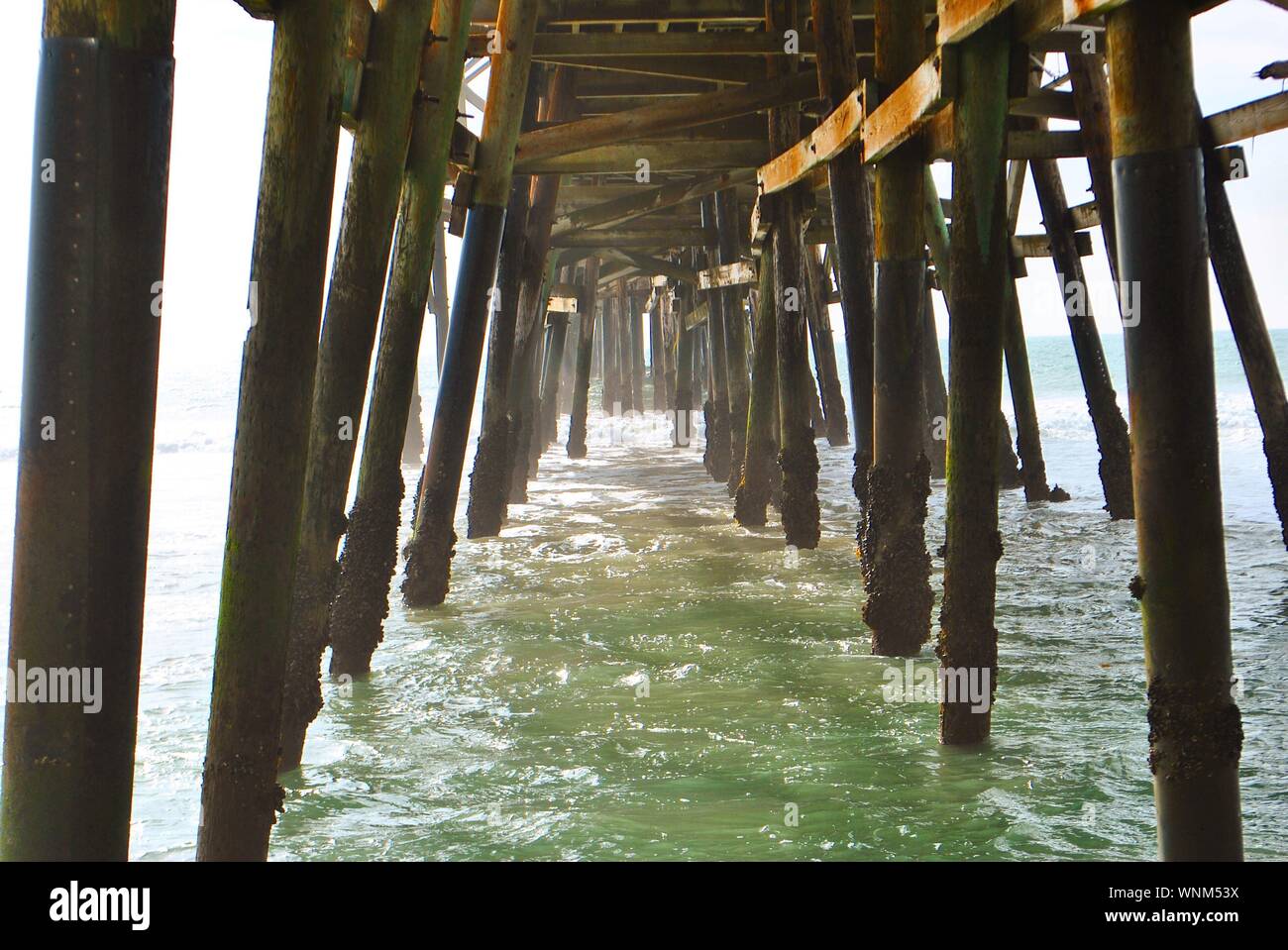 Wood under water hi-res stock photography and images - Alamy