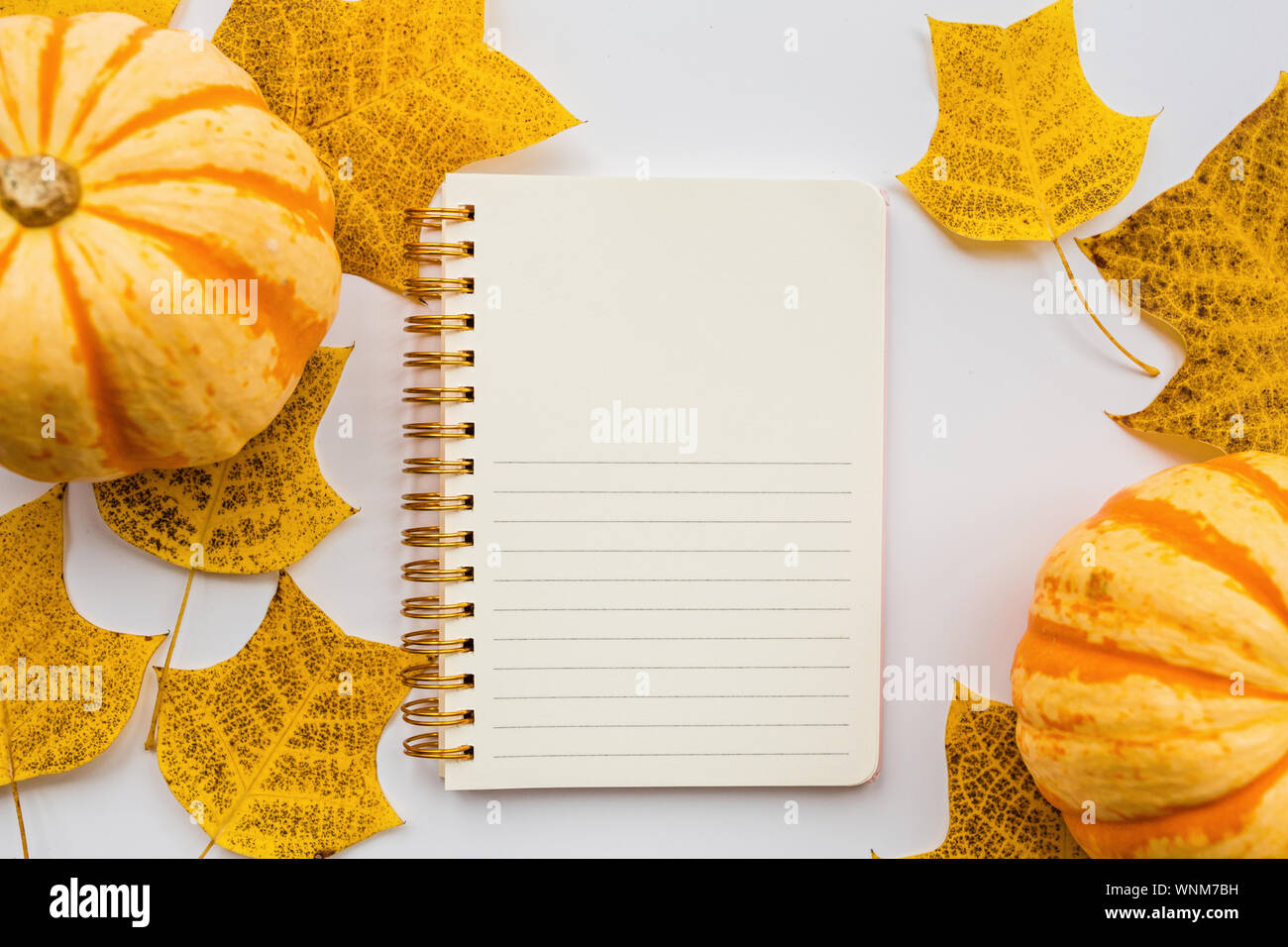 Thanksgiving holiday objects for mock up template design. Autumn ...
