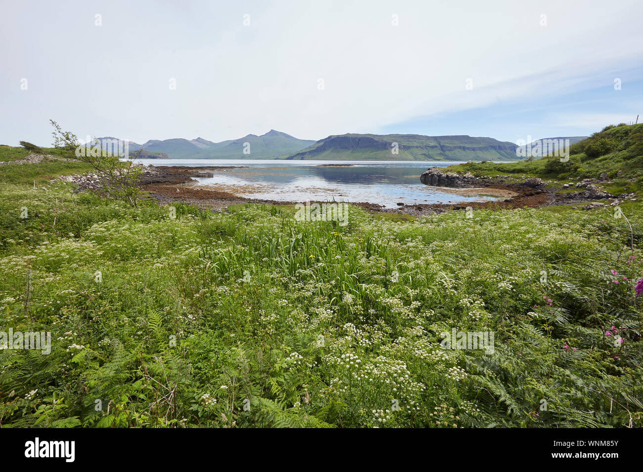 Isle of ulva hi-res stock photography and images - Alamy