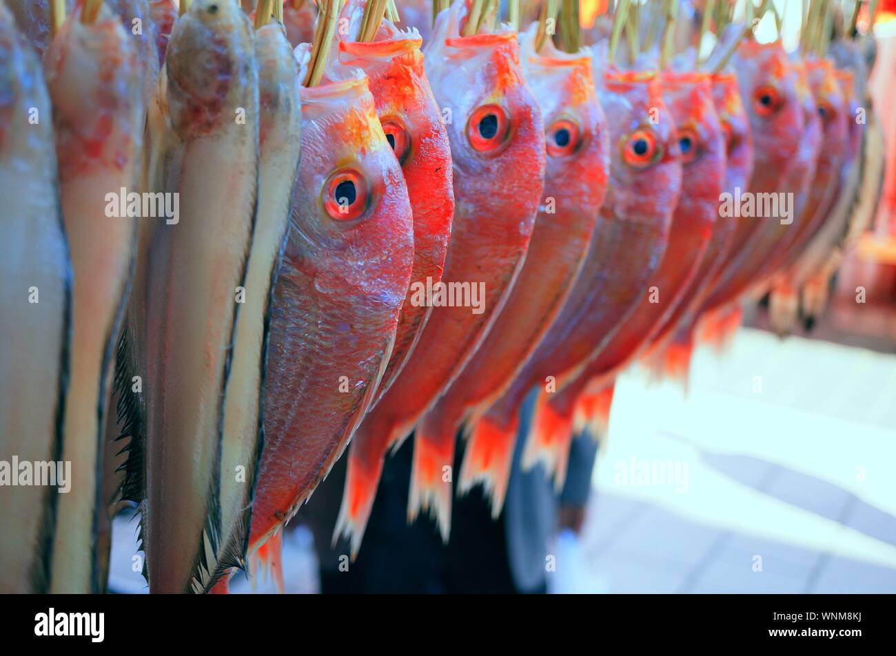 Hanging from a string hi-res stock photography and images - Alamy