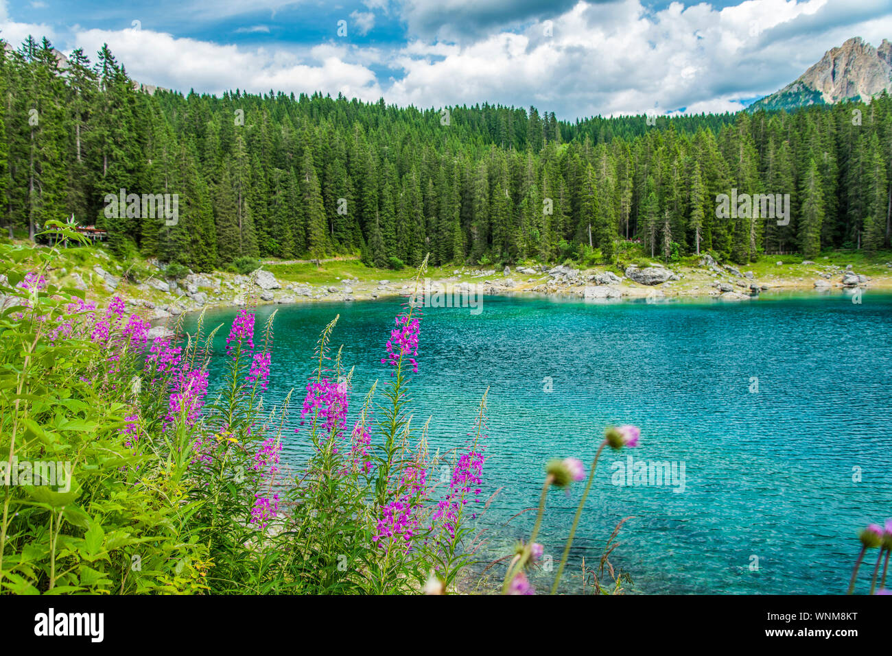 Lago di carezza at sunset hi-res stock photography and images - Alamy