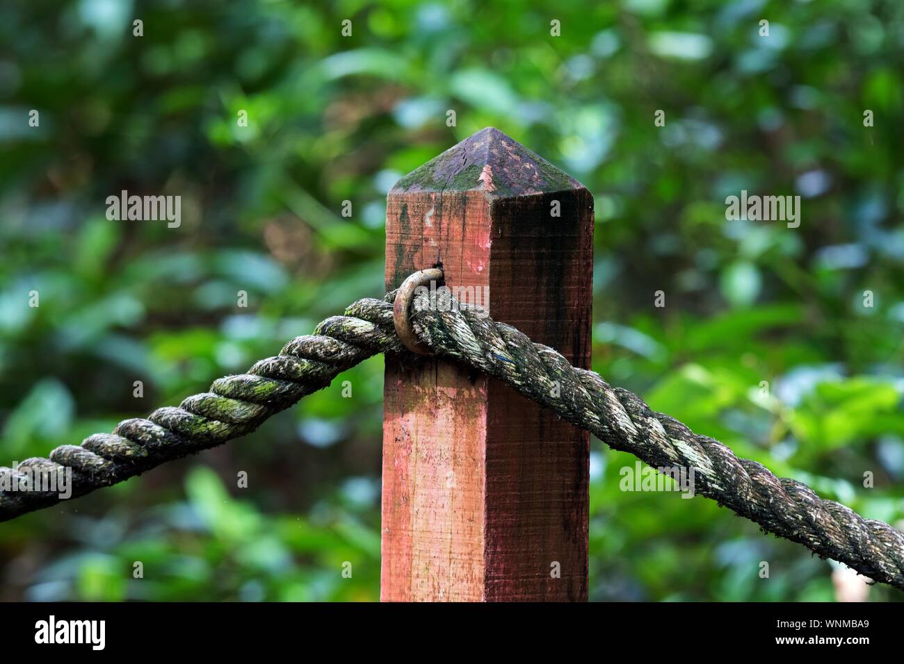 Rope and post fence hi-res stock photography and images - Alamy