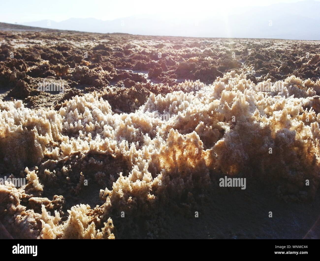 Deposits of rock salt hi-res stock photography and images - Alamy