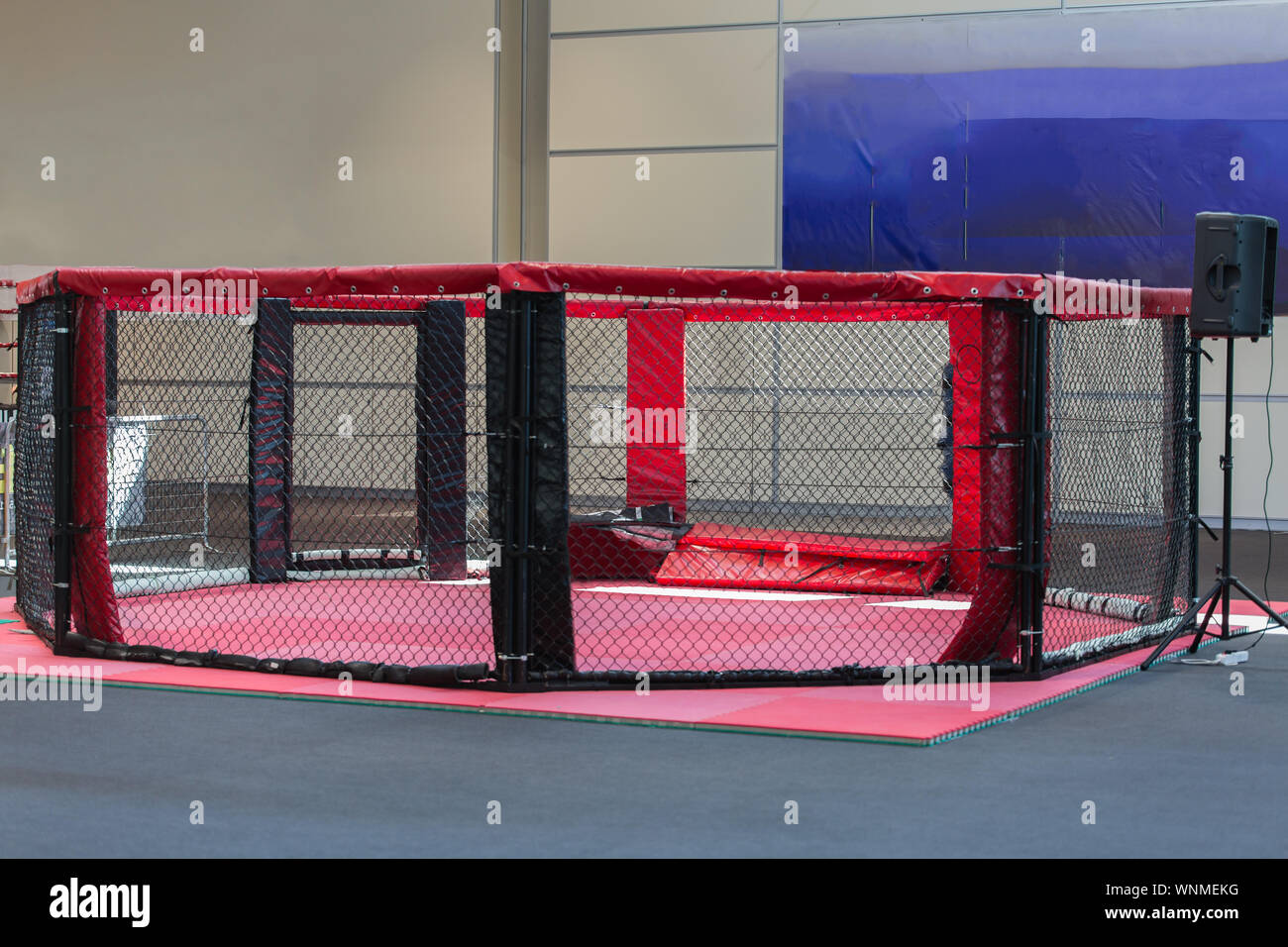 Empty Professional MMA Cage for Fighting Competition Stock Photo - Alamy