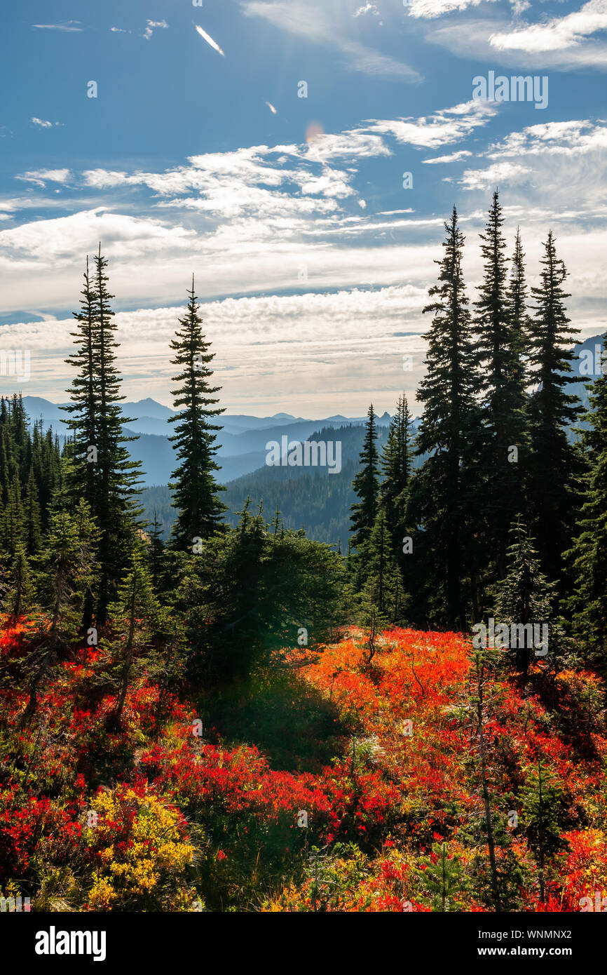 Mount rainier naches peak loop hi-res stock photography and images - Alamy