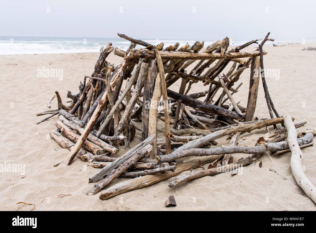 Logs On Beach High Resolution Stock Photography and Images - Alamy