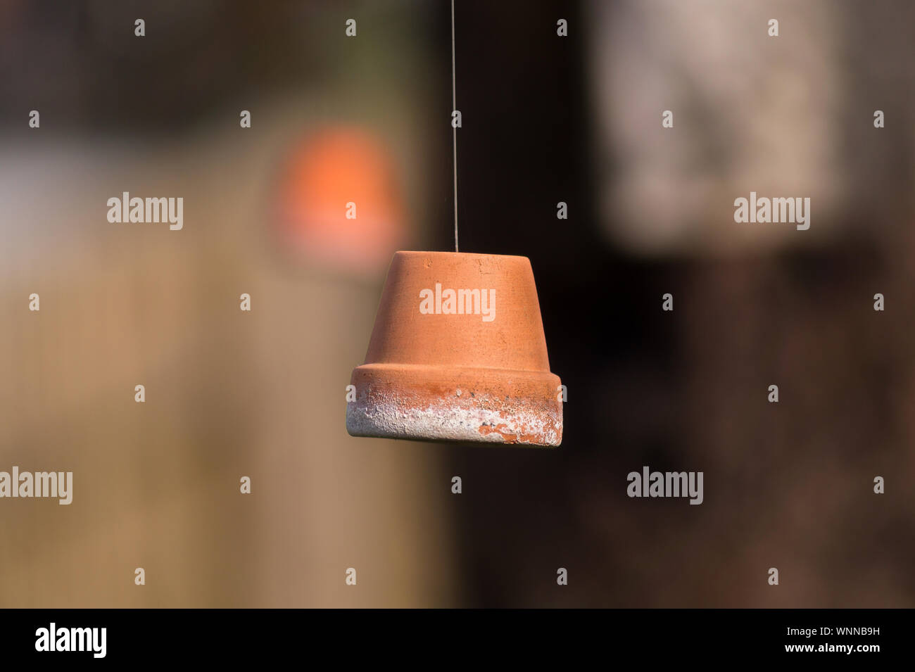 Hanging upside hi-res stock photography and images - Alamy