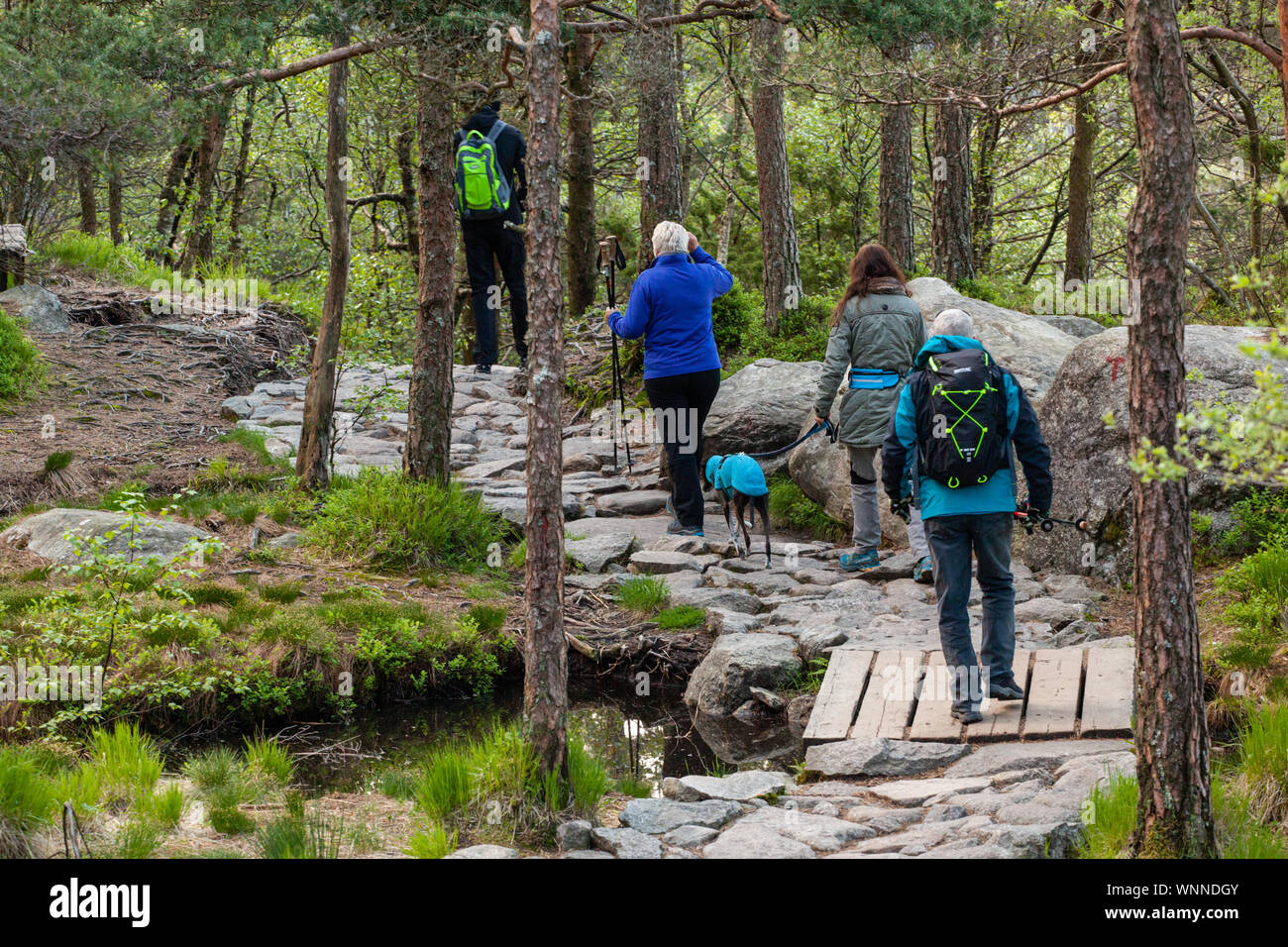 Pulpit rock walking hi-res stock photography and images - Alamy