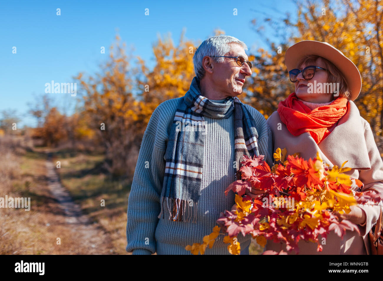Senior couple walking in autumn forest. Middle-aged man and woman ...