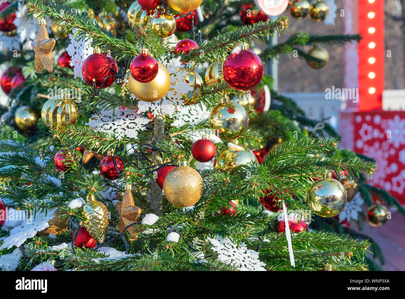 The Christmas tree is decorated with gold and red balls and white ...