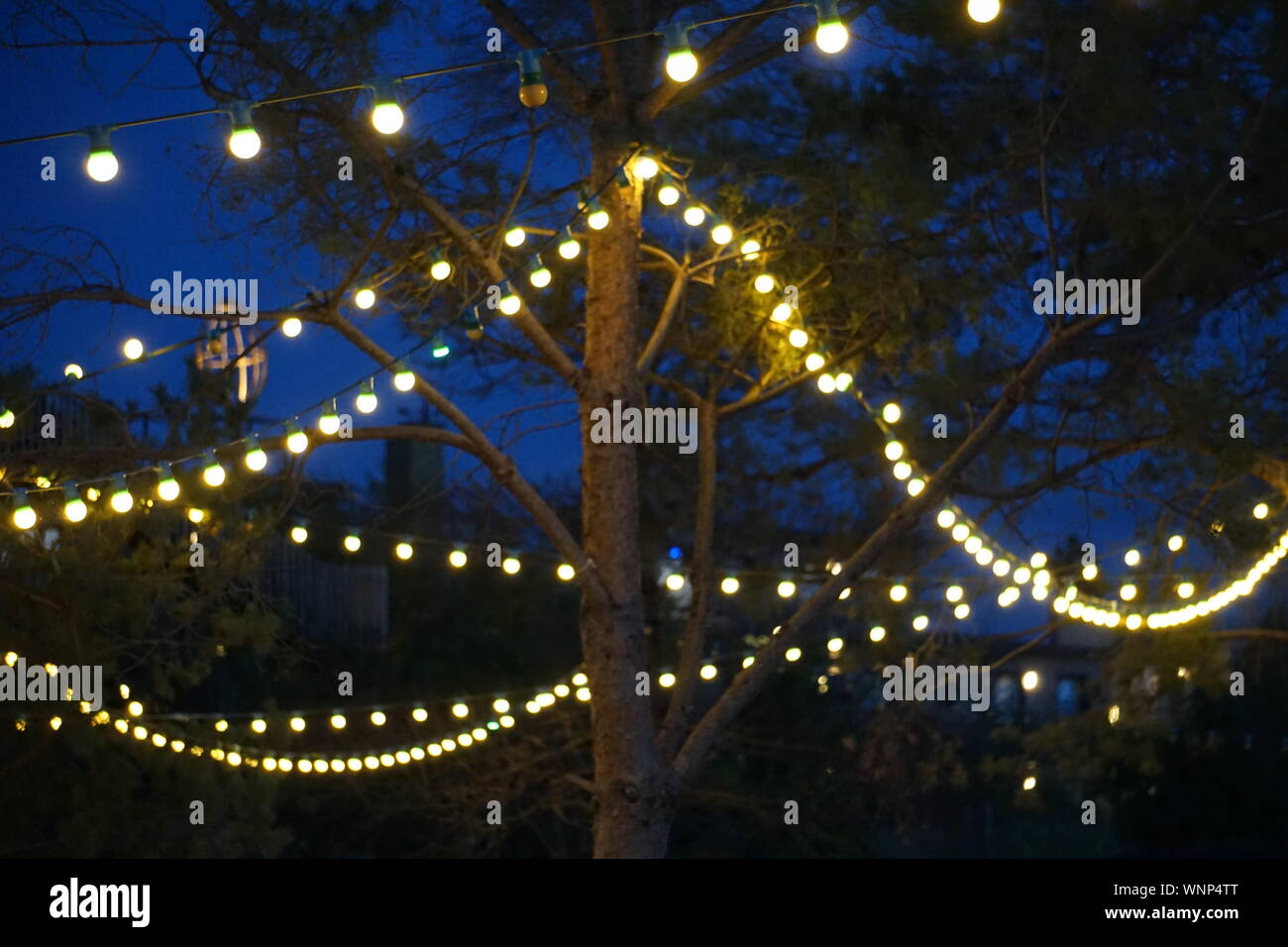 Center Parcs / Les villages de Nature, Disneyland Paris in September ...