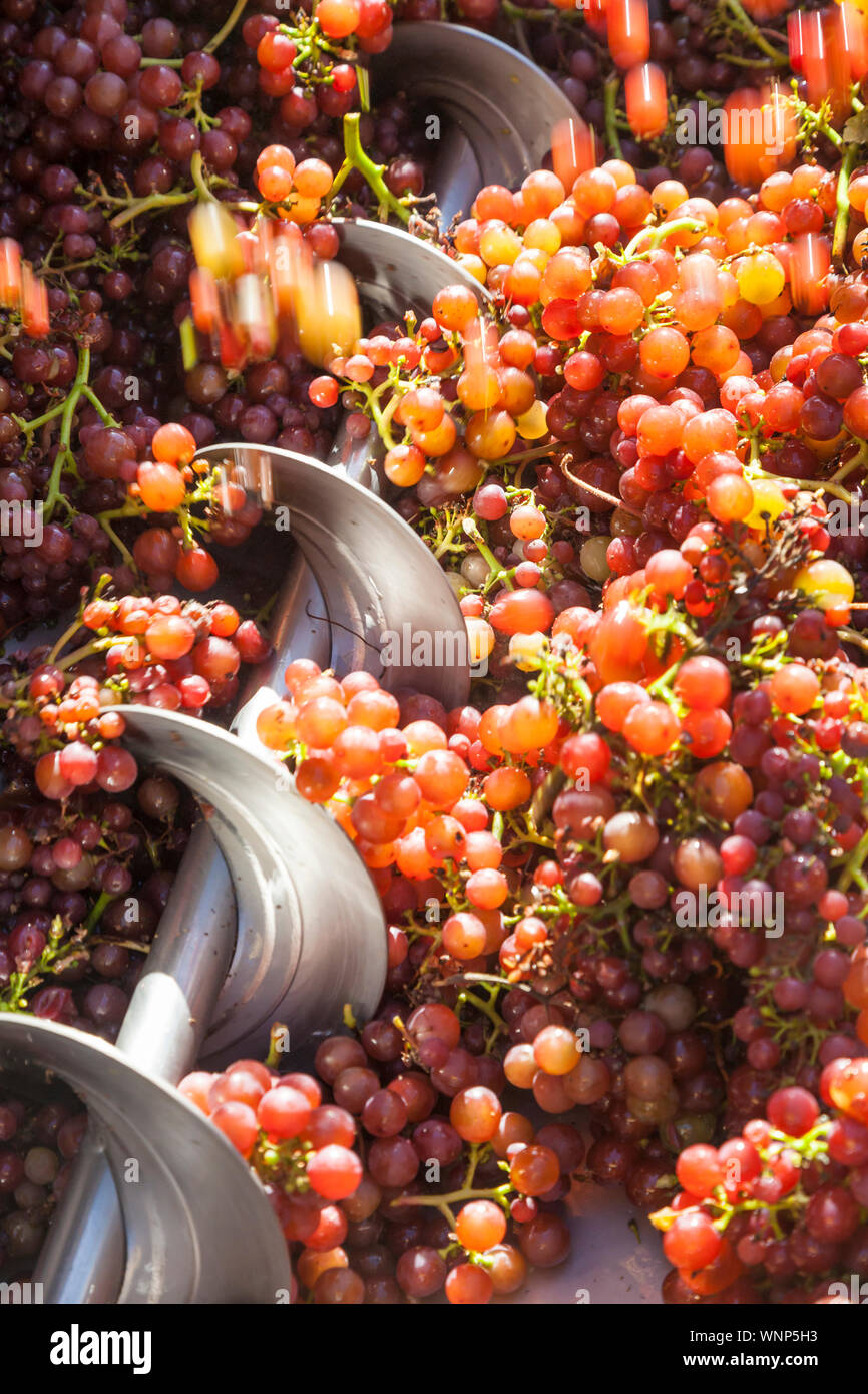Crush winery hi-res stock photography and images - Alamy