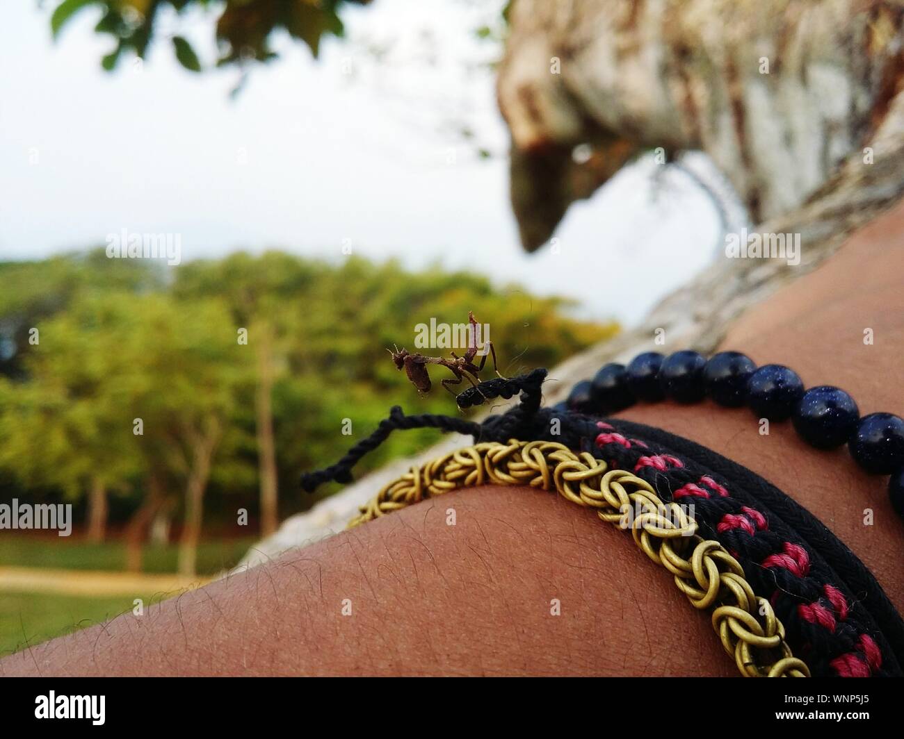 Male wrist hi-res stock photography and images - Alamy