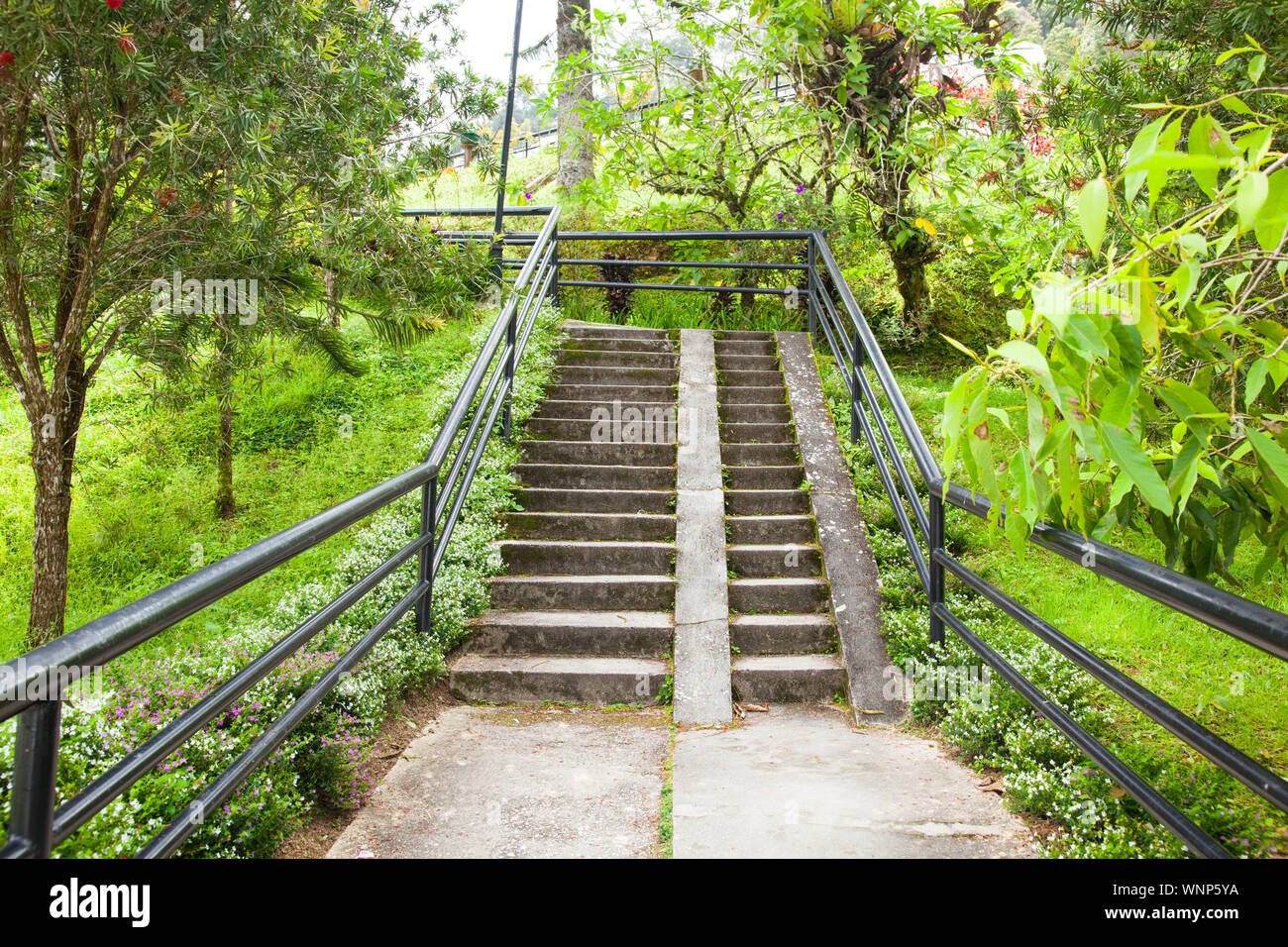 Stairs through grass hi-res stock photography and images - Alamy