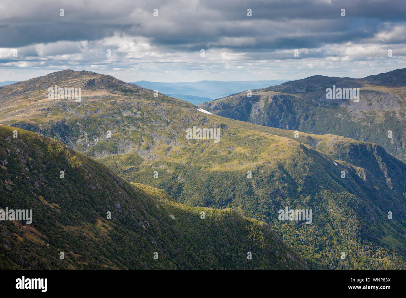 Looking across the Great Gulf Wilderness at Mount Jefferson from Mount ...