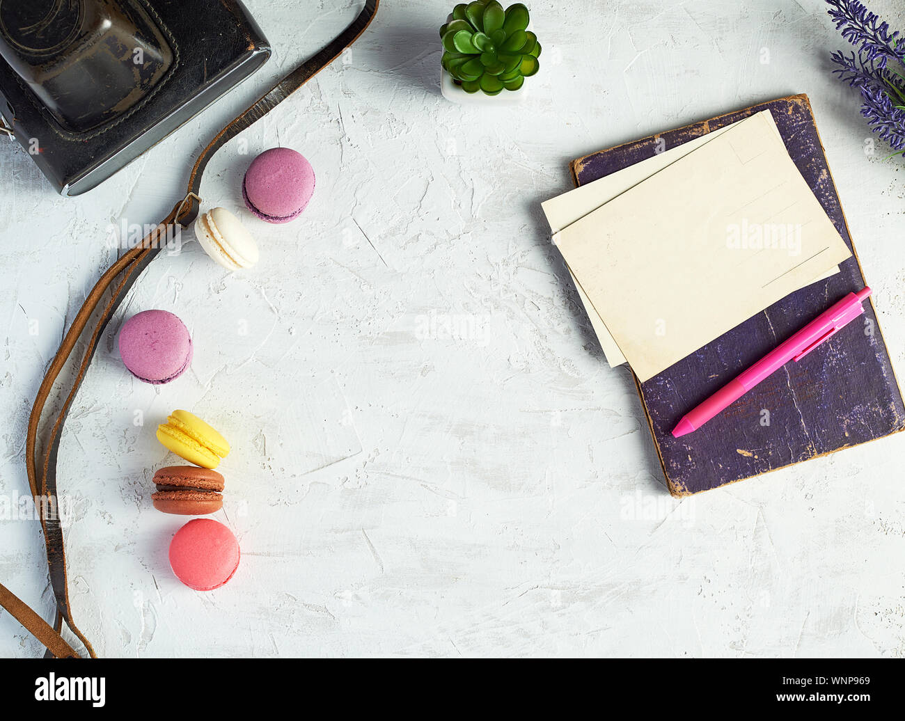 baked round macarons, notebook, pen and plants in a pot on a white ...