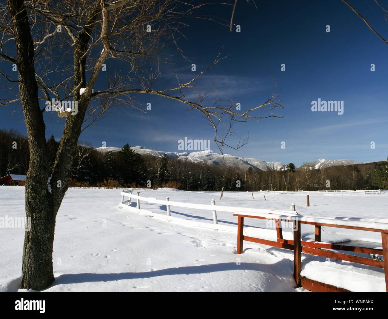 Stowe vermont ski hi-res stock photography and images - Alamy