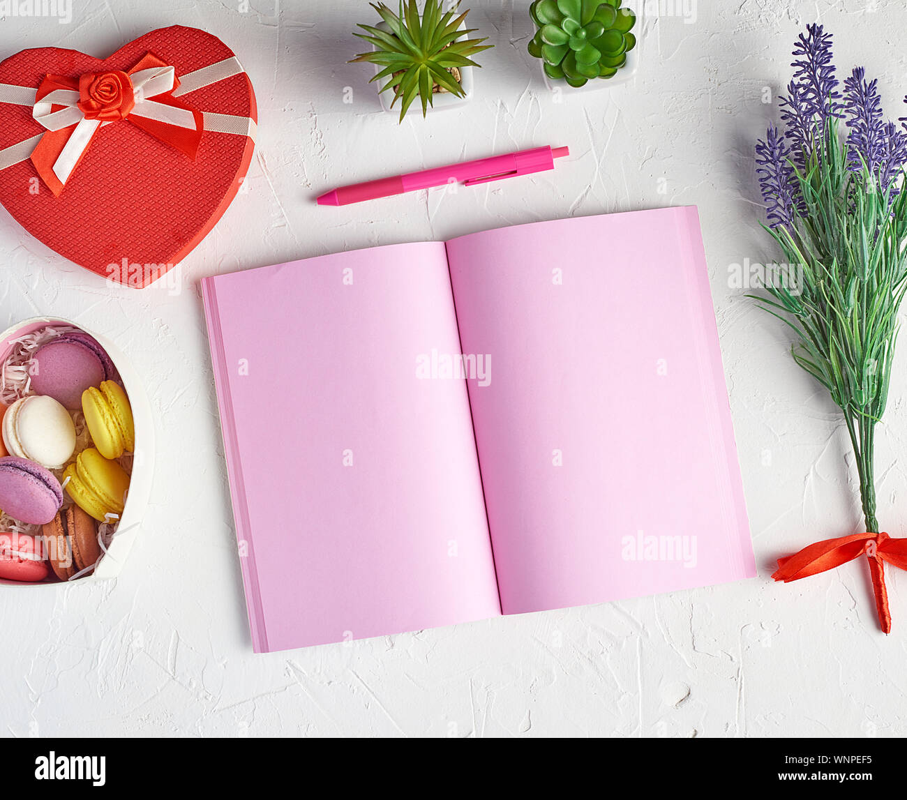 Pencil box open top view hi-res stock photography and images - Alamy