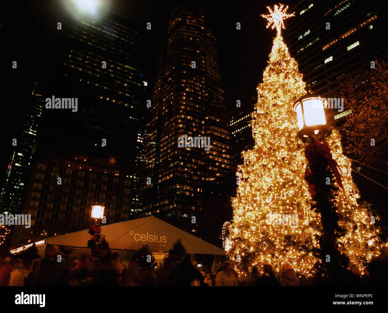 Christmas tree in city park hi-res stock photography and images - Alamy