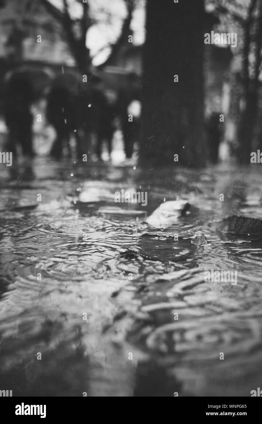 Rain water puddle hi-res stock photography and images - Alamy