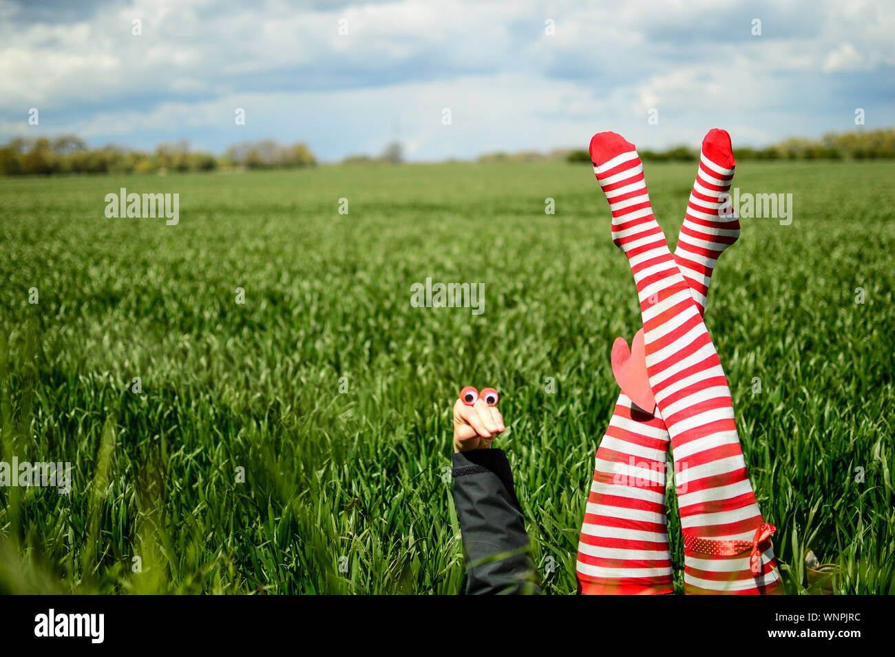 Low section woman wearing stockings hi-res stock photography and images ...